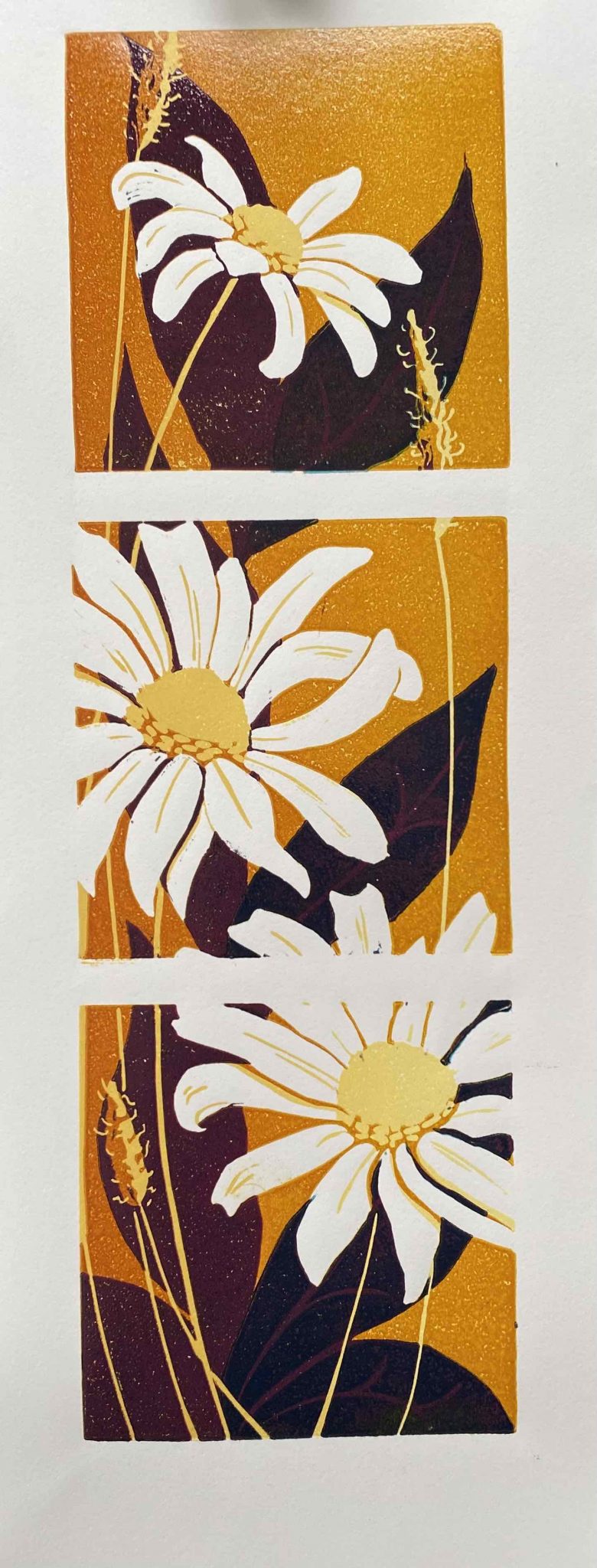 Daisy Chain - Aylsa Williams - Artist and Printmaker